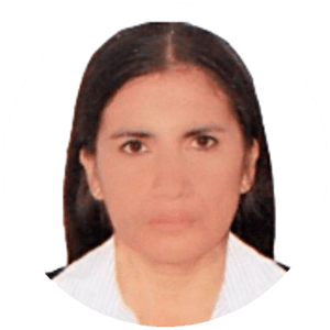 ICP-OES, Operación, Análisis de Minerales y Aguas - AMV Consultores